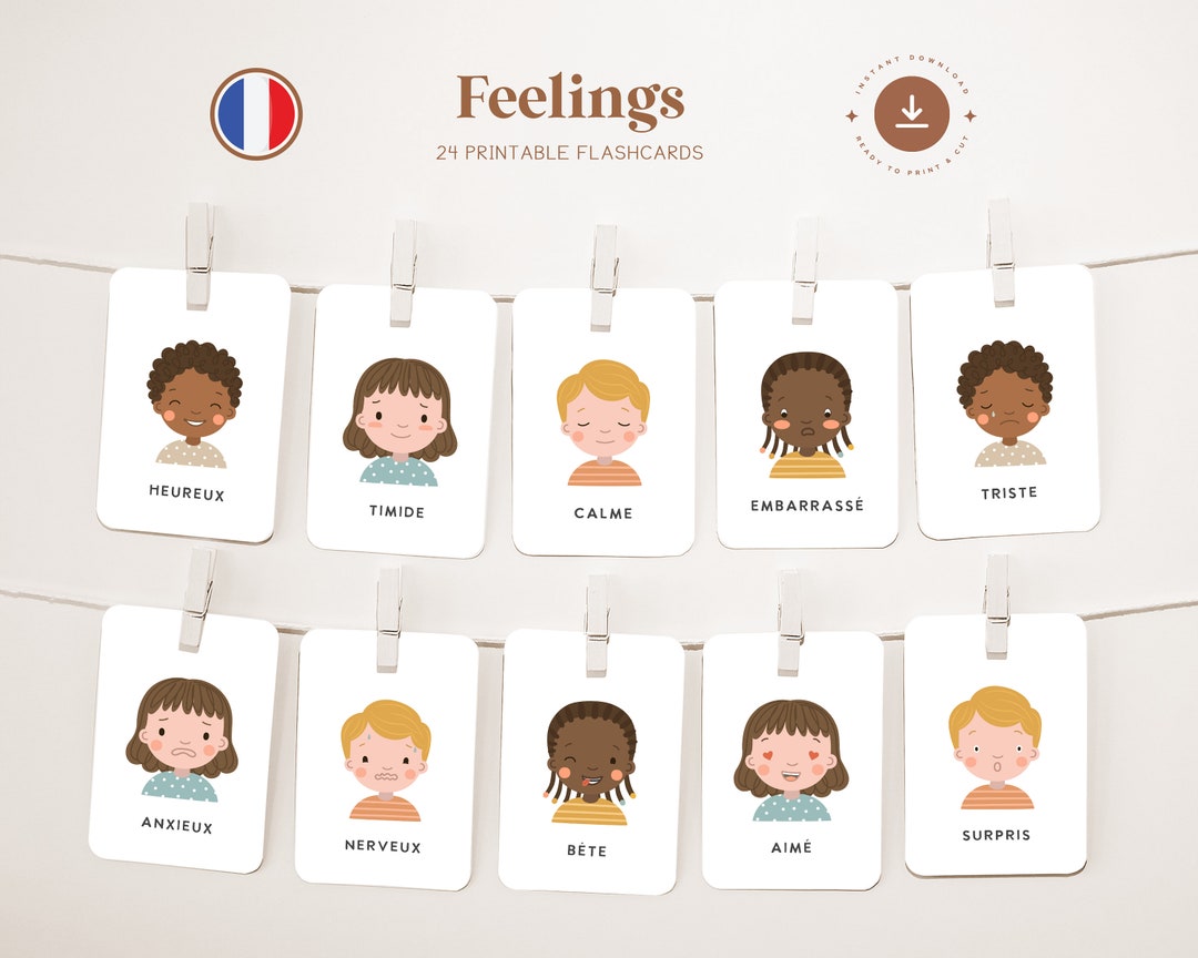 FEELINGS • French • Printable Flashcards • Three-part Montessori Cards ...