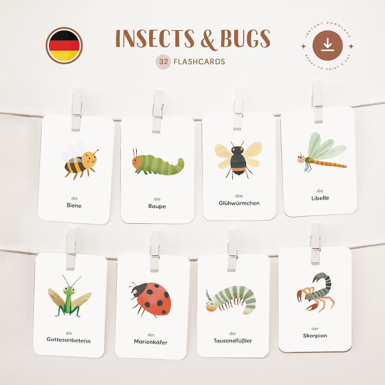 INSECTS & BUGS • German • Printable Flashcards • Three-part Montessori ...