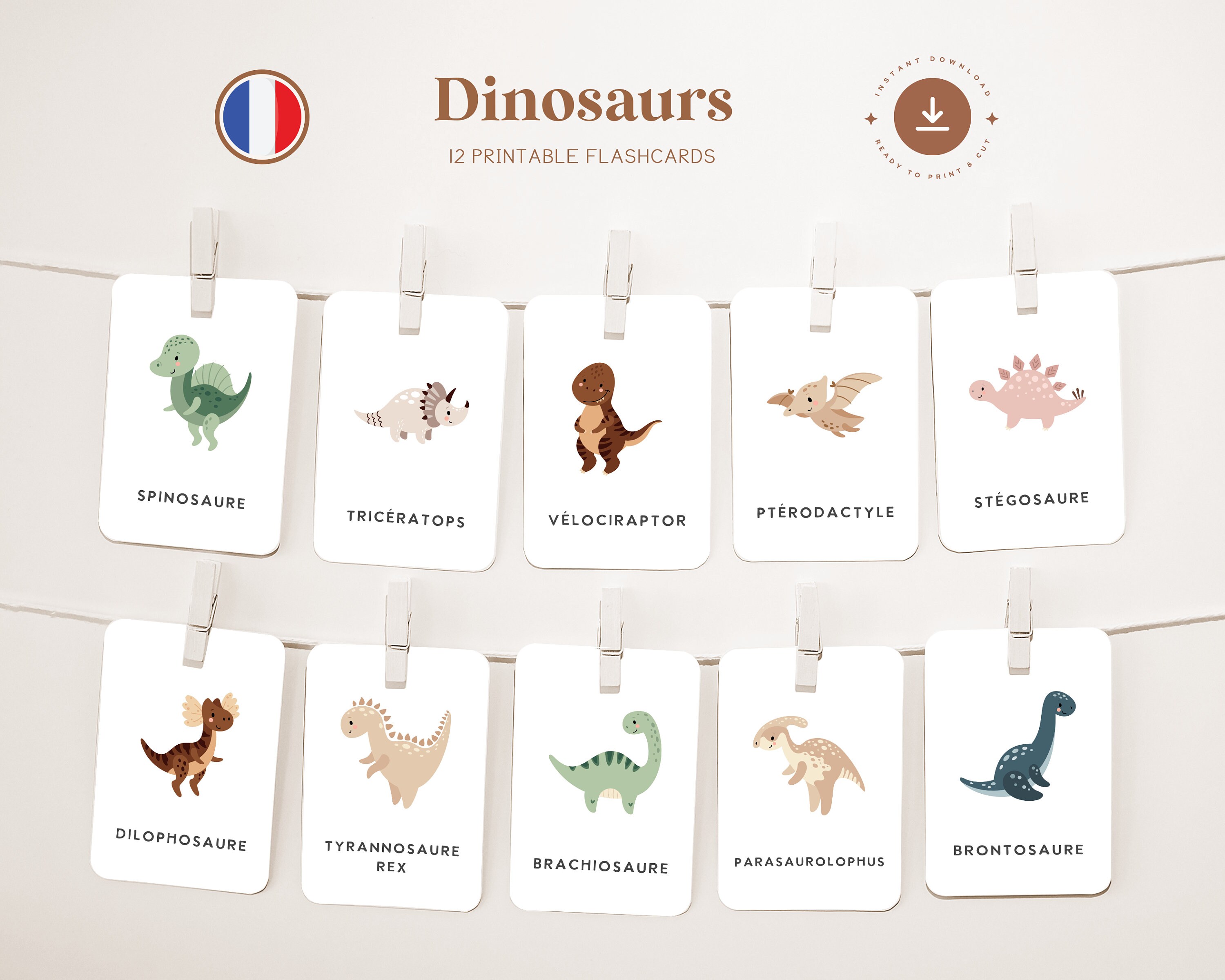 DINOSAURS French Printable Flashcards Three-part Montessori Cards ...