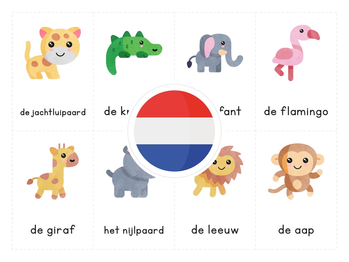 SAFARI ANIMALS Dutch Printable Flashcards Three-part - Etsy Canada