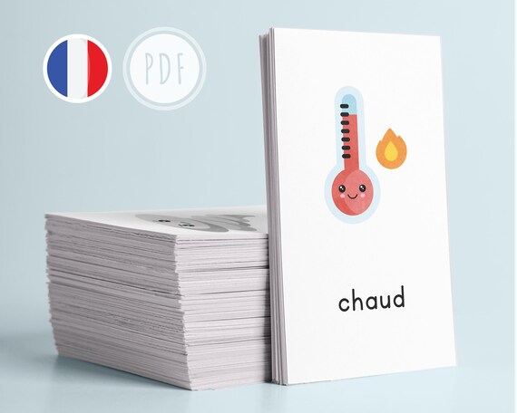 WEATHER French Printable Flashcards Three-part | Etsy