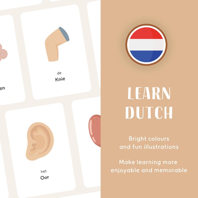 BODY - FAIR • Dutch • Printable Flashcards • Three-part Montessori ...