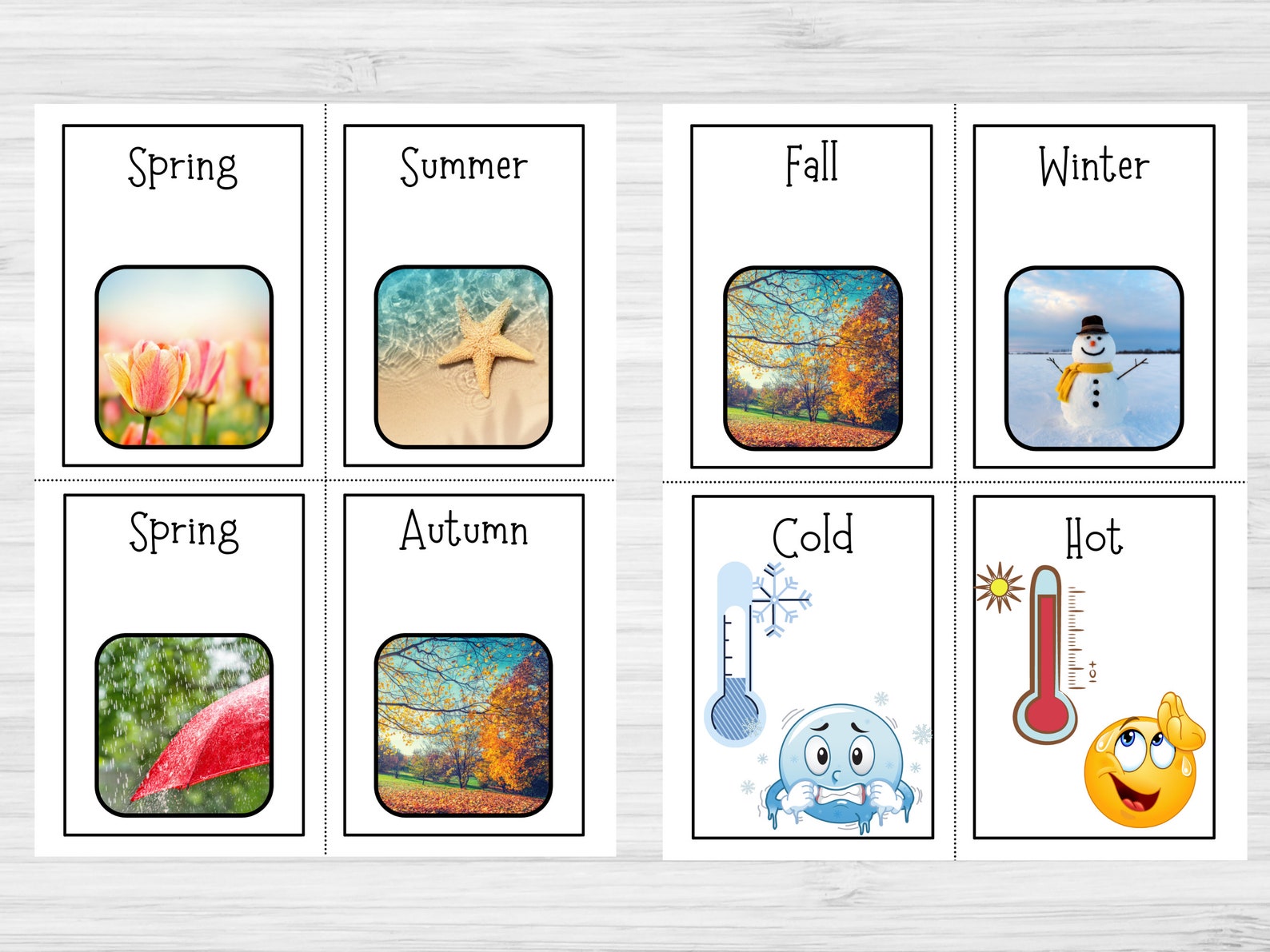 Weather Flashcards for Each Season Flashcards for Science Curriculum ...