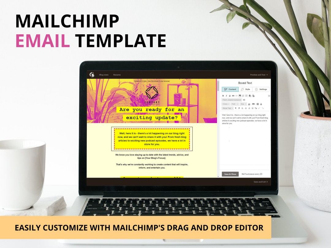Mailchimp Email Template Perfect for Bloggers, Mailchimp Newsletter ...