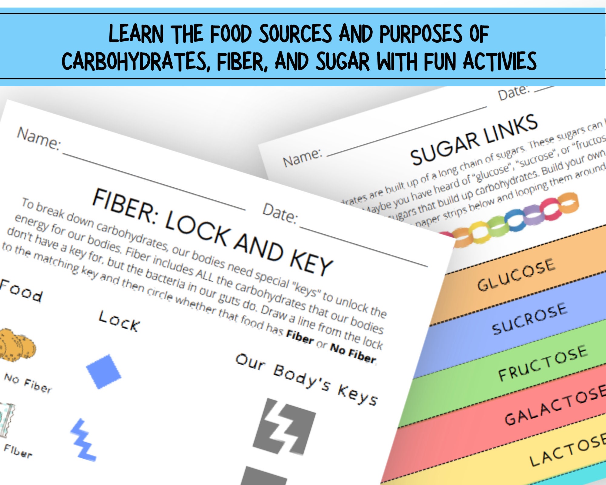 Protein and Carbohydrate Worksheet Bundle for Kids | Printable ...