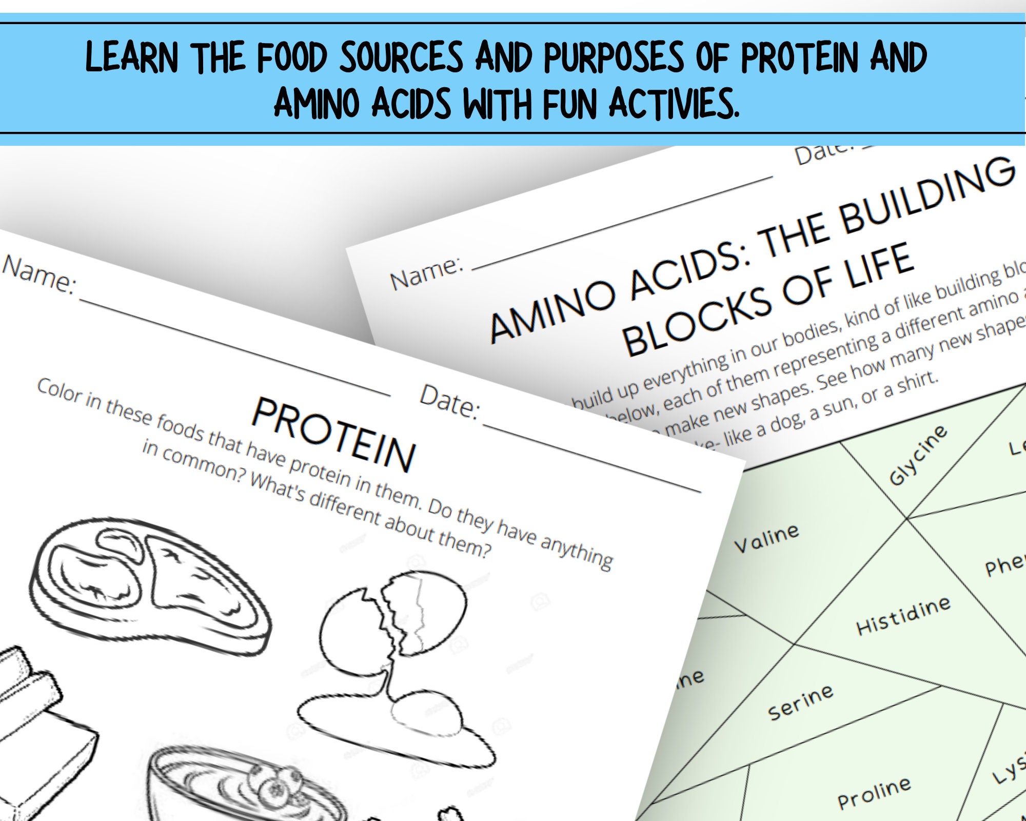 Protein and Carbohydrate Worksheet Bundle for Kids | Printable ...