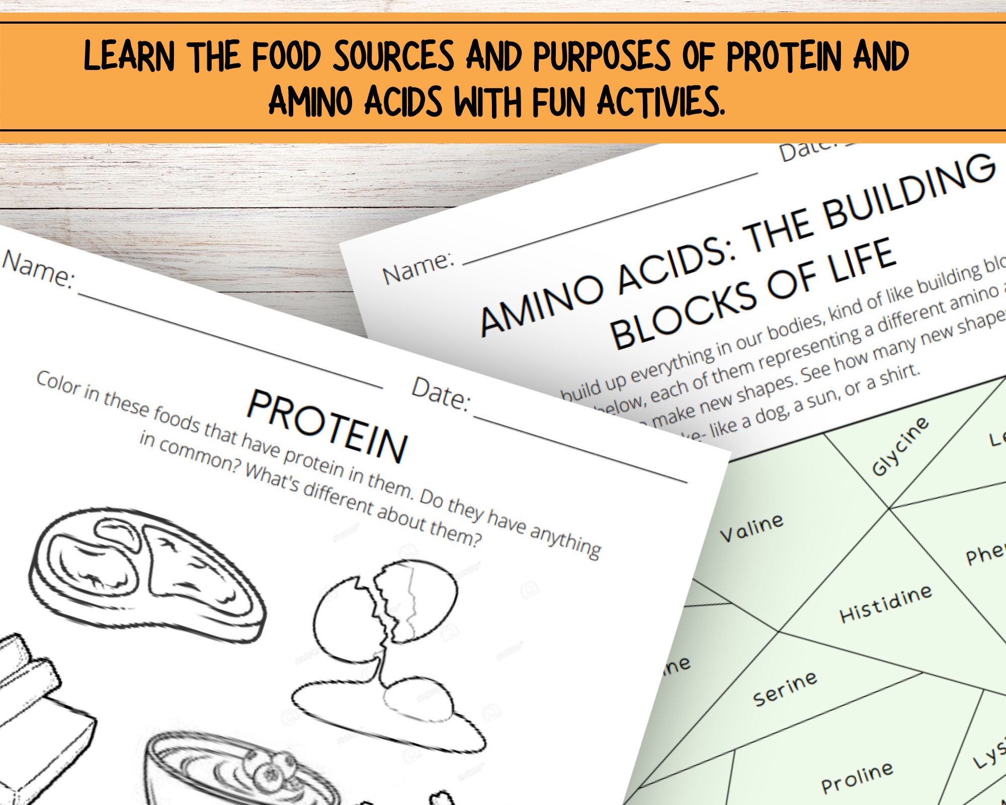 Protein and Amino Acid Worksheets for Kids | Nutrition Education ...