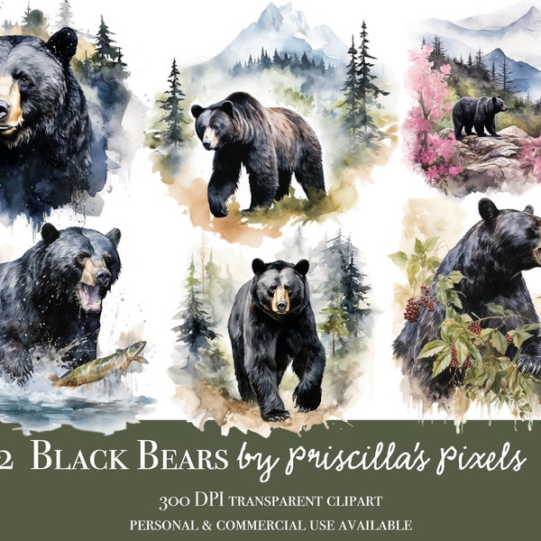 Black Bear Art - Etsy
