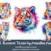 Rainbow Tiger Clipart, Watercolour Tiger Pngs, Floral Tiger, Magical ...