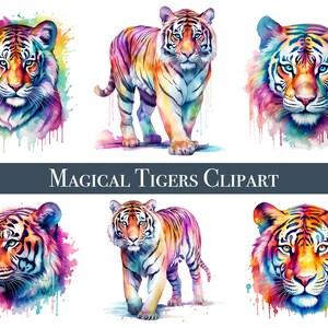 Rainbow Tiger Clipart, Watercolour Tiger Pngs, Floral Tiger, Magical ...