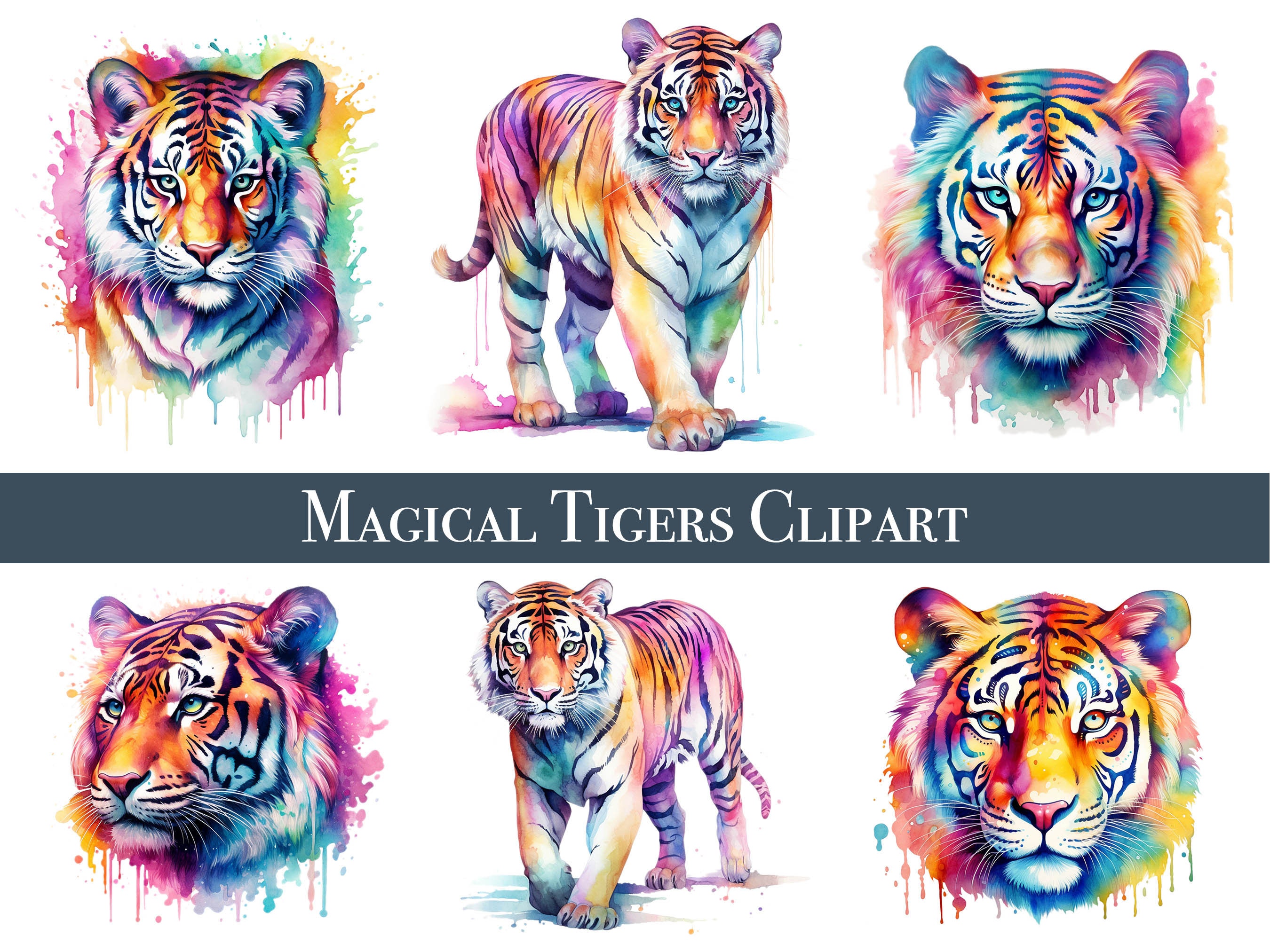 Rainbow Tiger Clipart, Watercolour Tiger Pngs, Floral Tiger, Magical ...