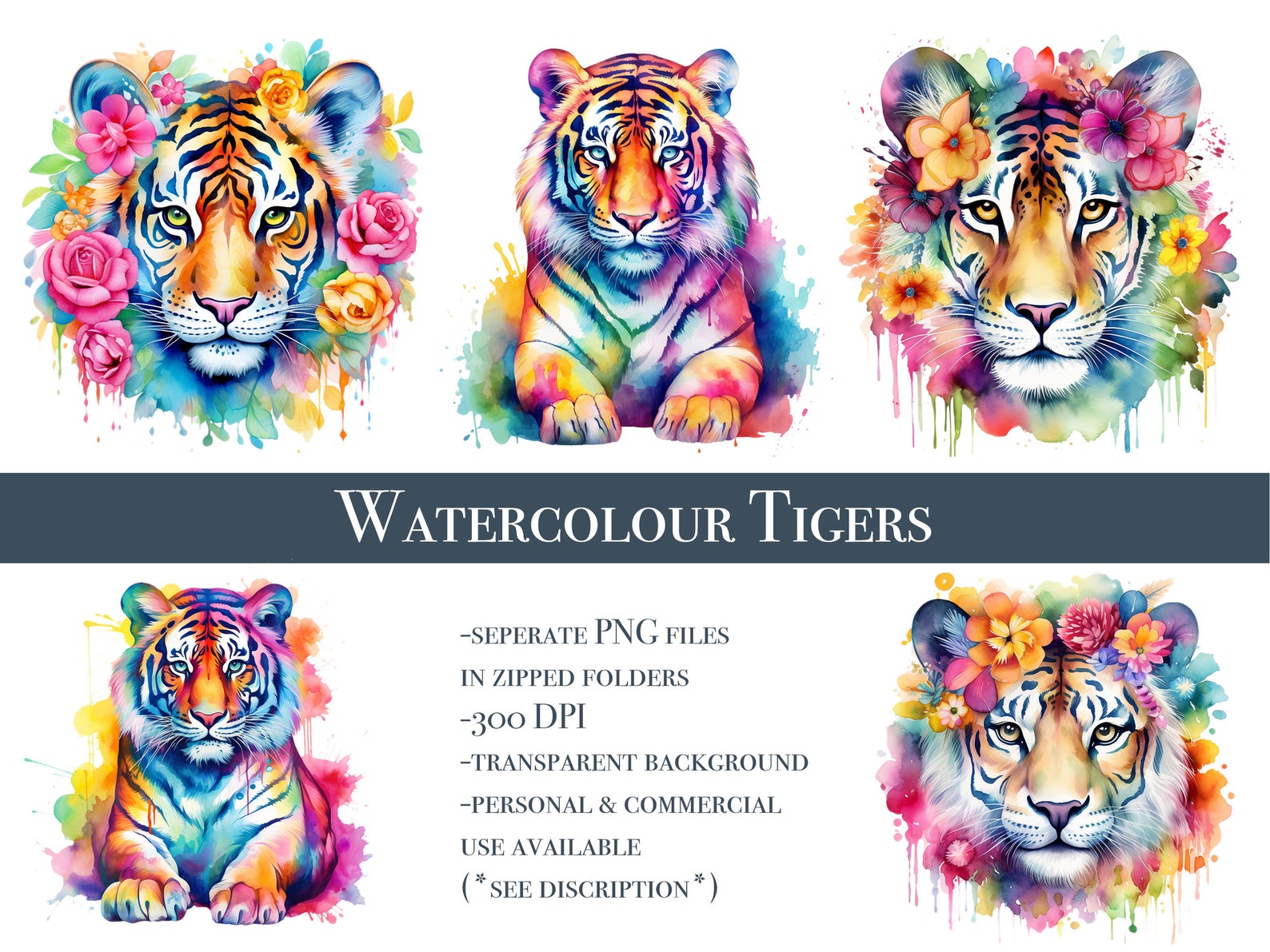 Rainbow Tiger Clipart, Watercolour Tiger Pngs, Floral Tiger, Magical ...