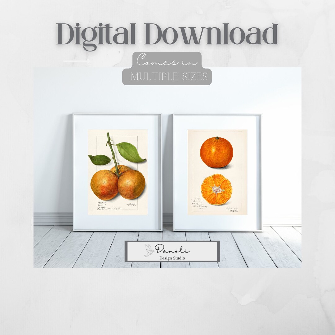 Set of 2 Orange Printables Citrus Illustrations Kitchen & Home Decor ...