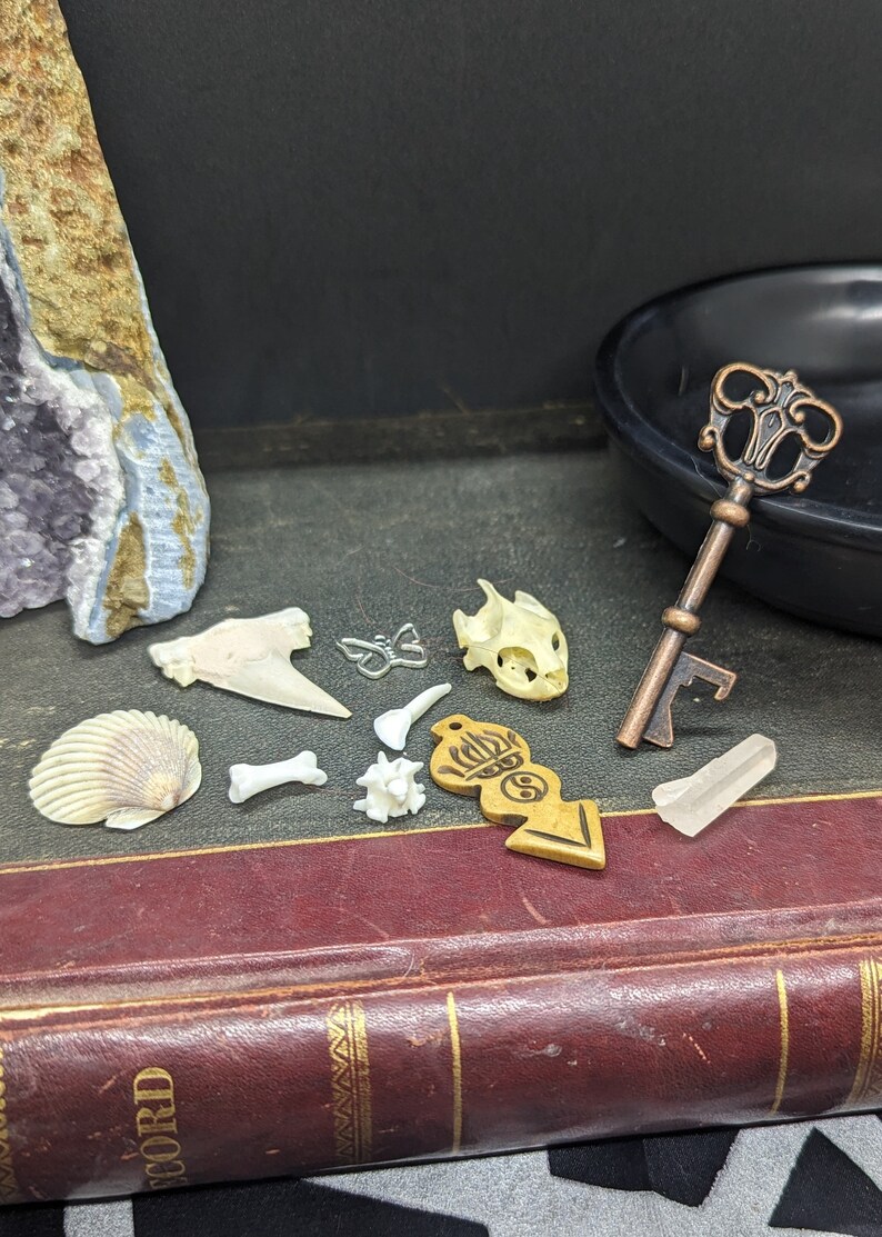 Bone Throwing Kit Hand Crafted One of a Kind Divination - Etsy