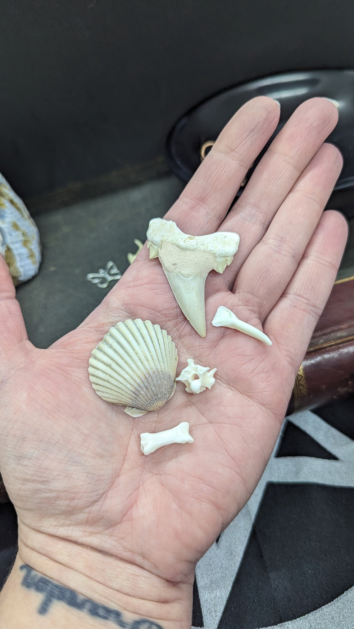 Bone Throwing Kit Hand Crafted One of a Kind Divination - Etsy