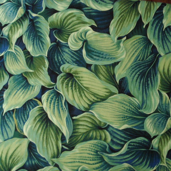 Hosta - Etsy
