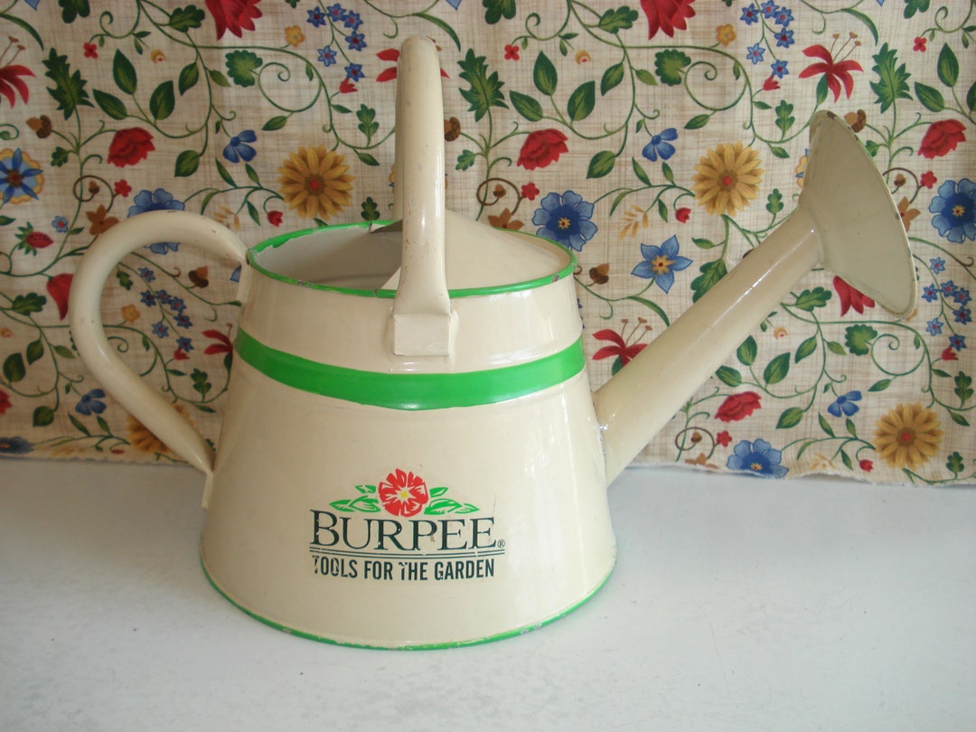 Vintage Burpee Watering Can/burpee Logo/metal/ivory With Green Trim ...
