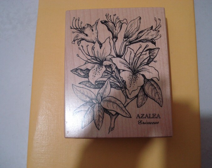 Vintage PSX/K-015/AZALEA /rubber Stamp on Wood1990's - Etsy