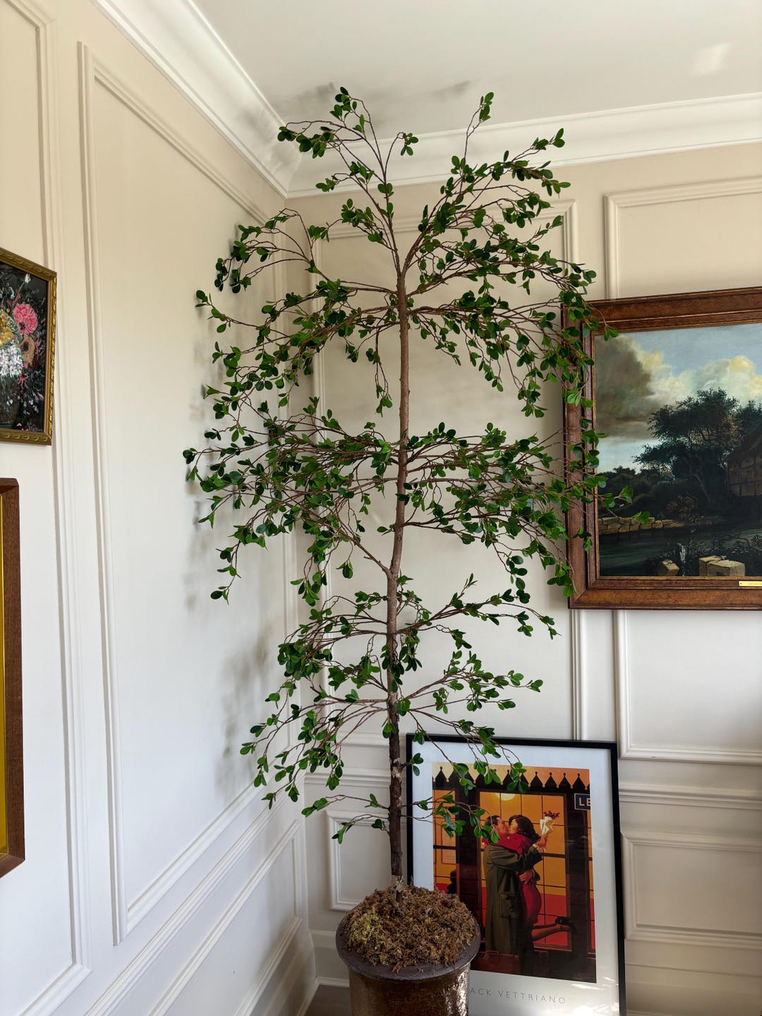 NEW* Interior Design Trend | Artificial Bucida Buceras Tree, Black ...