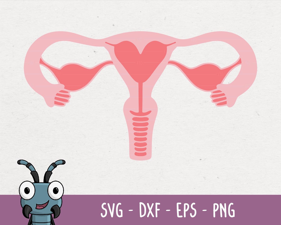 Uterus Svg, Birthing Svg, Uterus Love Clipart, Cuterus Cutting File ...