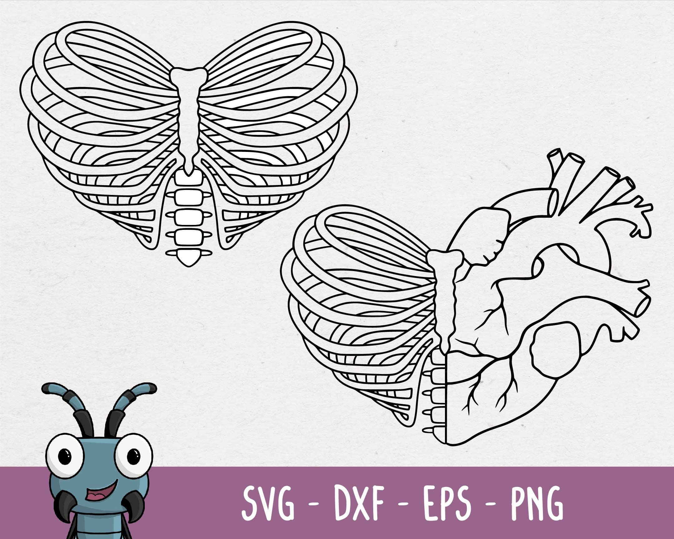 Ribcage Heart Svg, Ribcage Svg, Half Heart Svg, Medical Svg, Bones Svg ...