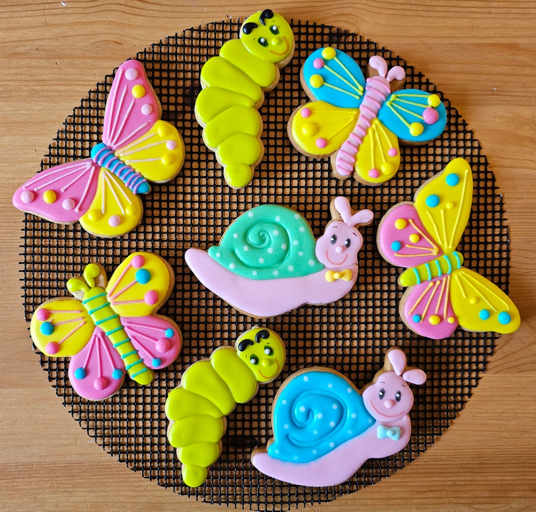Insects Biscuits, Caterpillar, Butterfly, Snail Biscuits, Party Favour ...