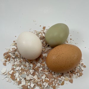 Organic Crushed Eggshells From Free Range Chickens Calcium Plant ...