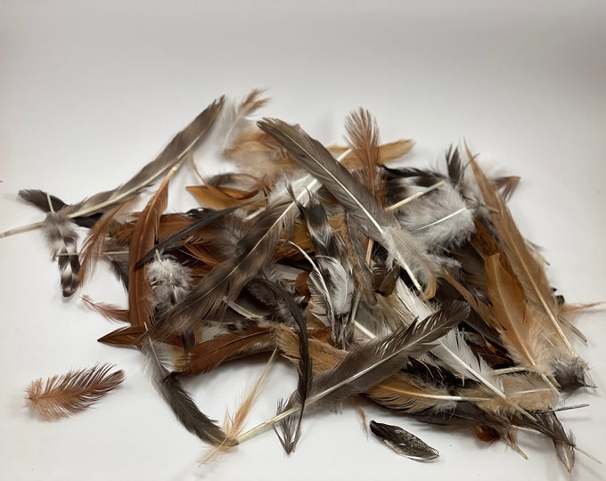 50 Assorted Unique All Natural Chicken Feathers Cruelty-free Clean - Etsy