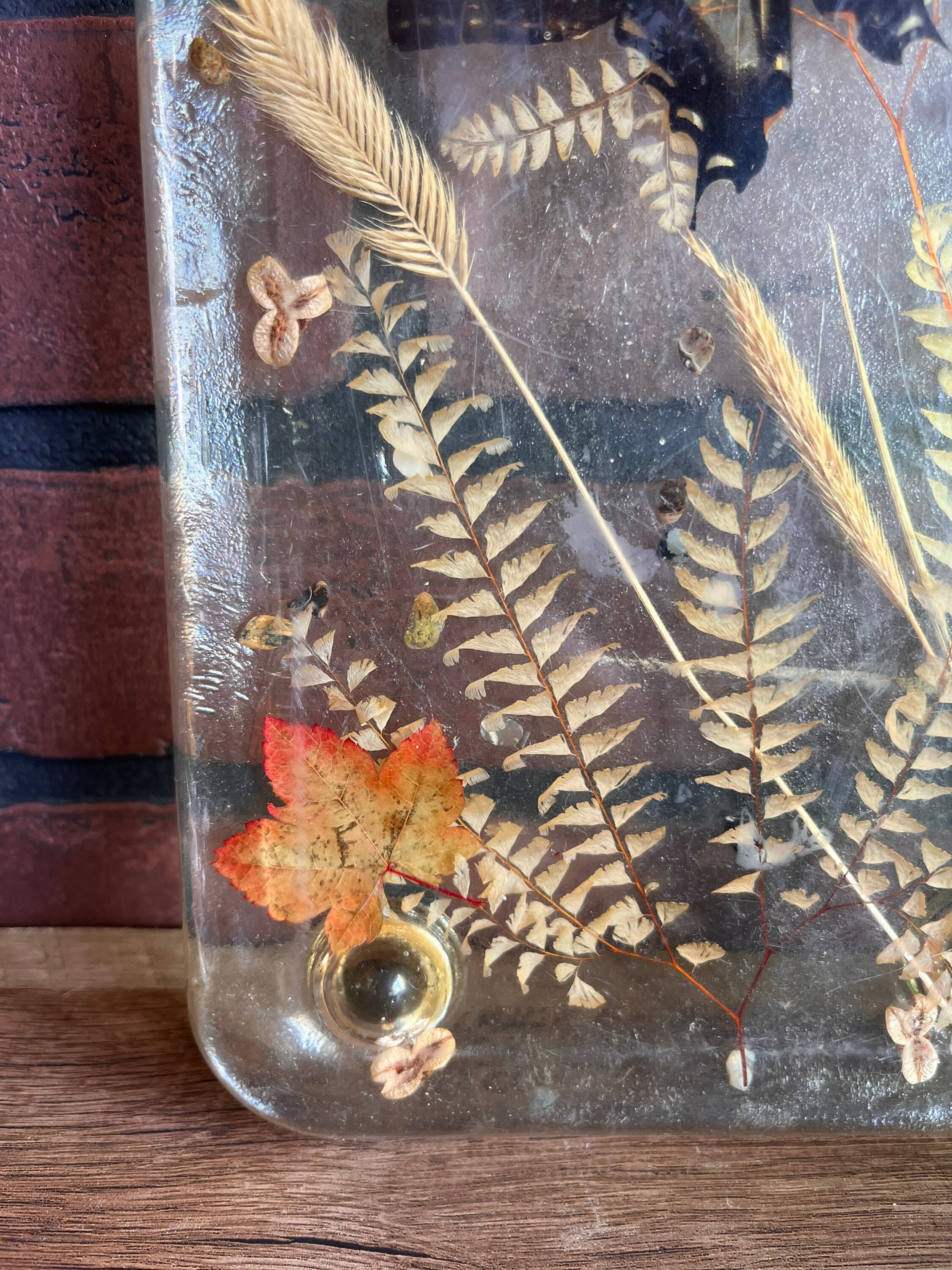 Vintage Butterfly Epoxy Lucite Trivet Butterfly Decor Kitchen - Etsy