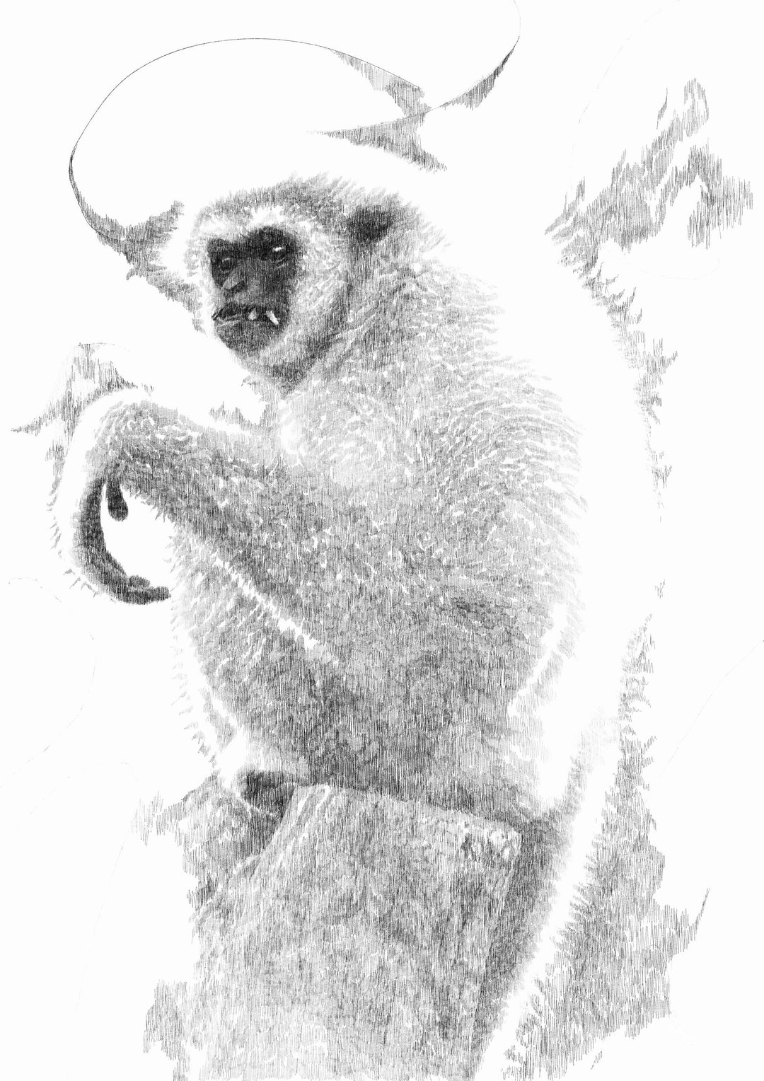 High-resolution Drawings, Hand-drawn by Mati Mular digital Form - Etsy