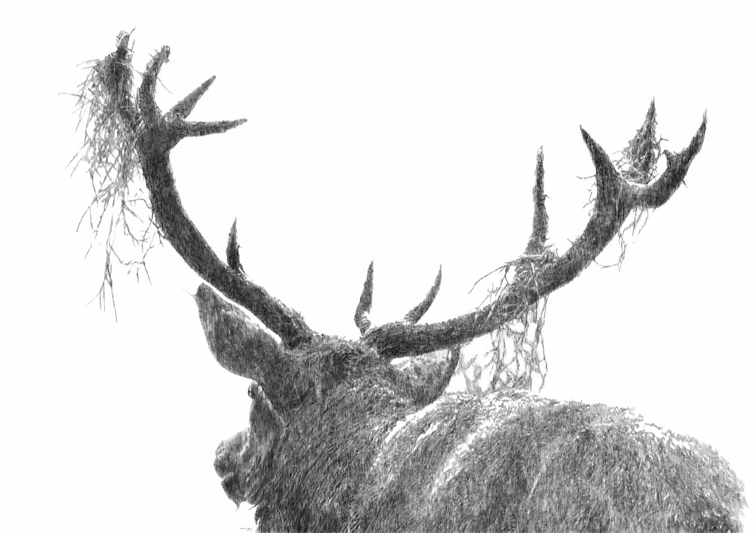 High-resolution Drawings, Hand-drawn by Mati Mular (digital Form) - Etsy UK