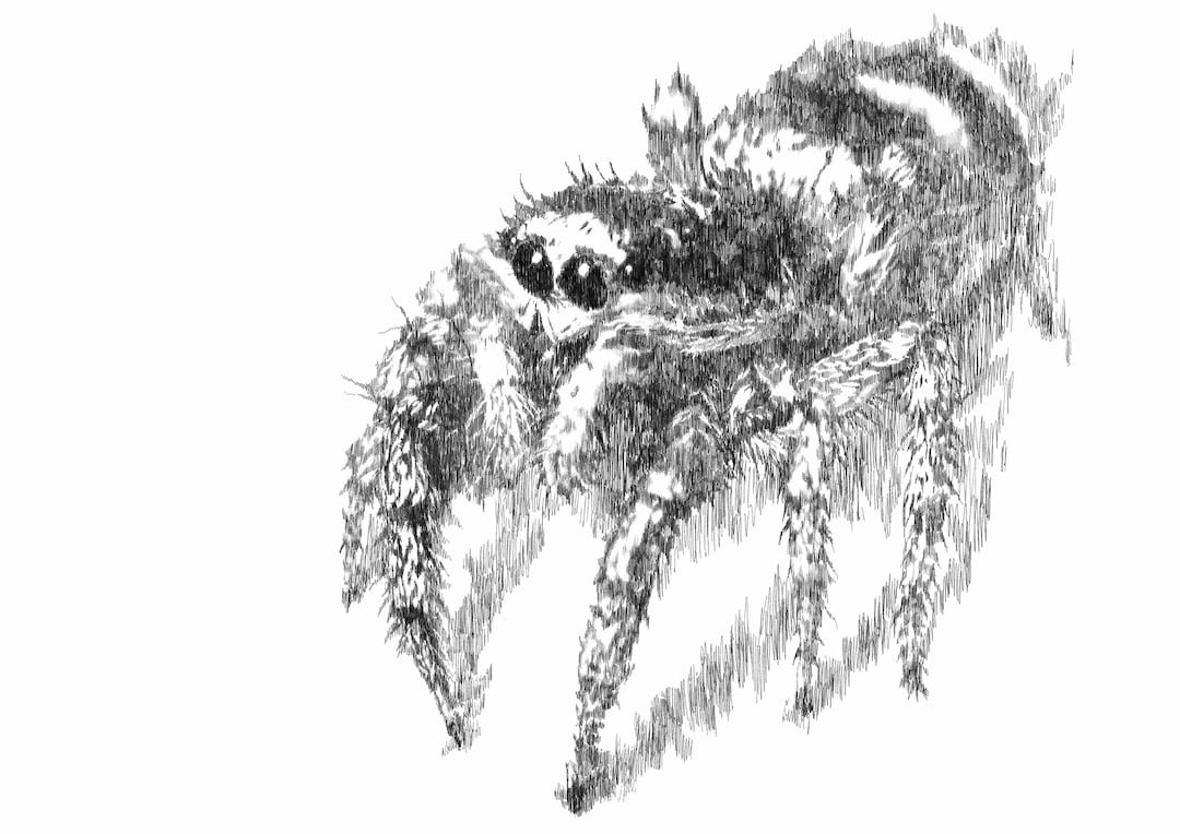 High-resolution Drawings, Hand-drawn by Mati Mular (digital Form) - Etsy