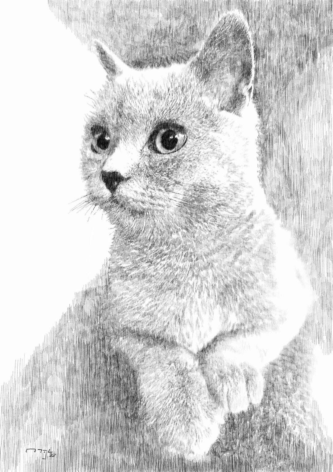 High-resolution Drawings, Hand-drawn in Digital Form, by Mati Mular - Etsy