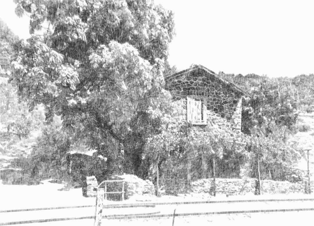 High-resolution Drawings, Hand-drawn by Mati Mular digital Form - Etsy