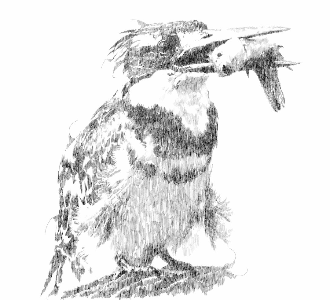 High-resolution Drawings, Hand-drawn by Mati Mular (digital Form) - Etsy