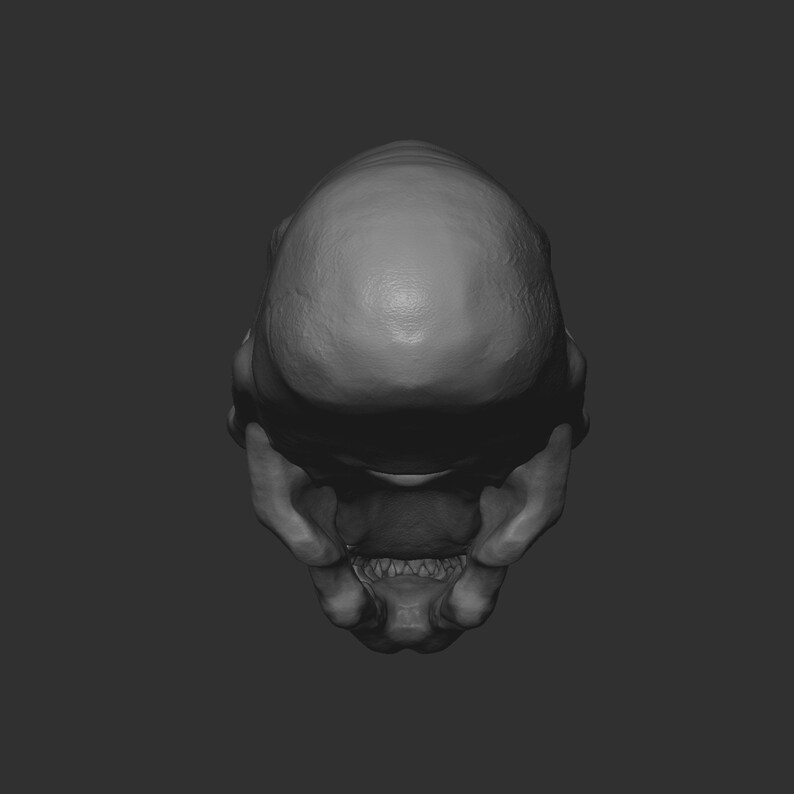 Alien Skull STL 3D Print Files for Digital Download and 3D - Etsy