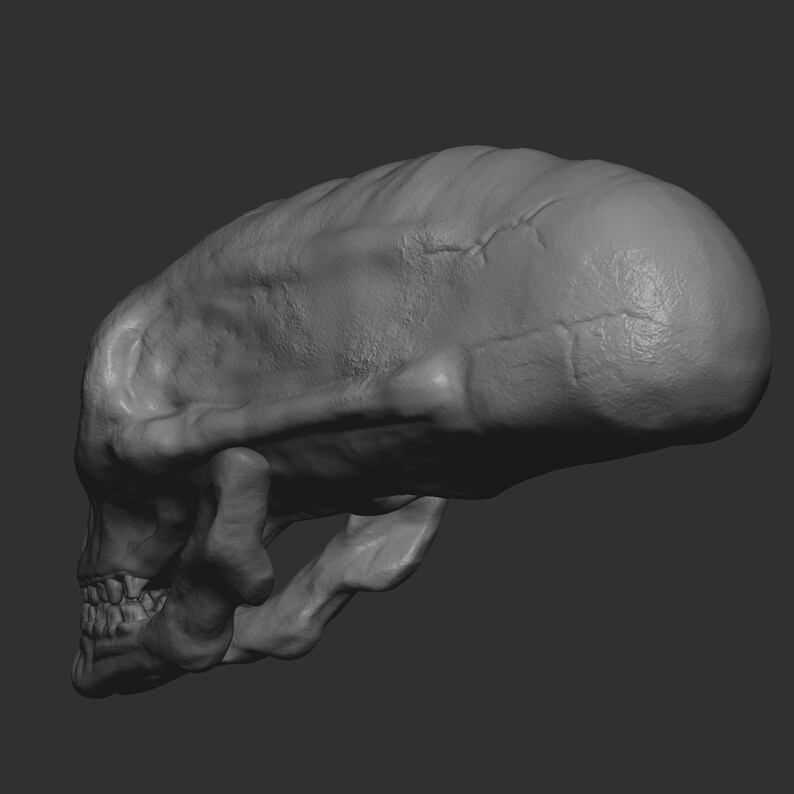 Alien Skull STL 3D Print Files for Digital Download and 3D - Etsy