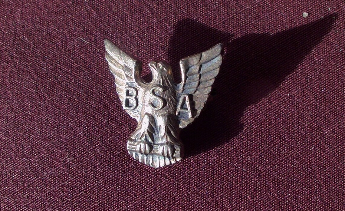 Vintage Eagle Scout Sterling Silver Pin With Bronze Palm, Eagle Scout ...