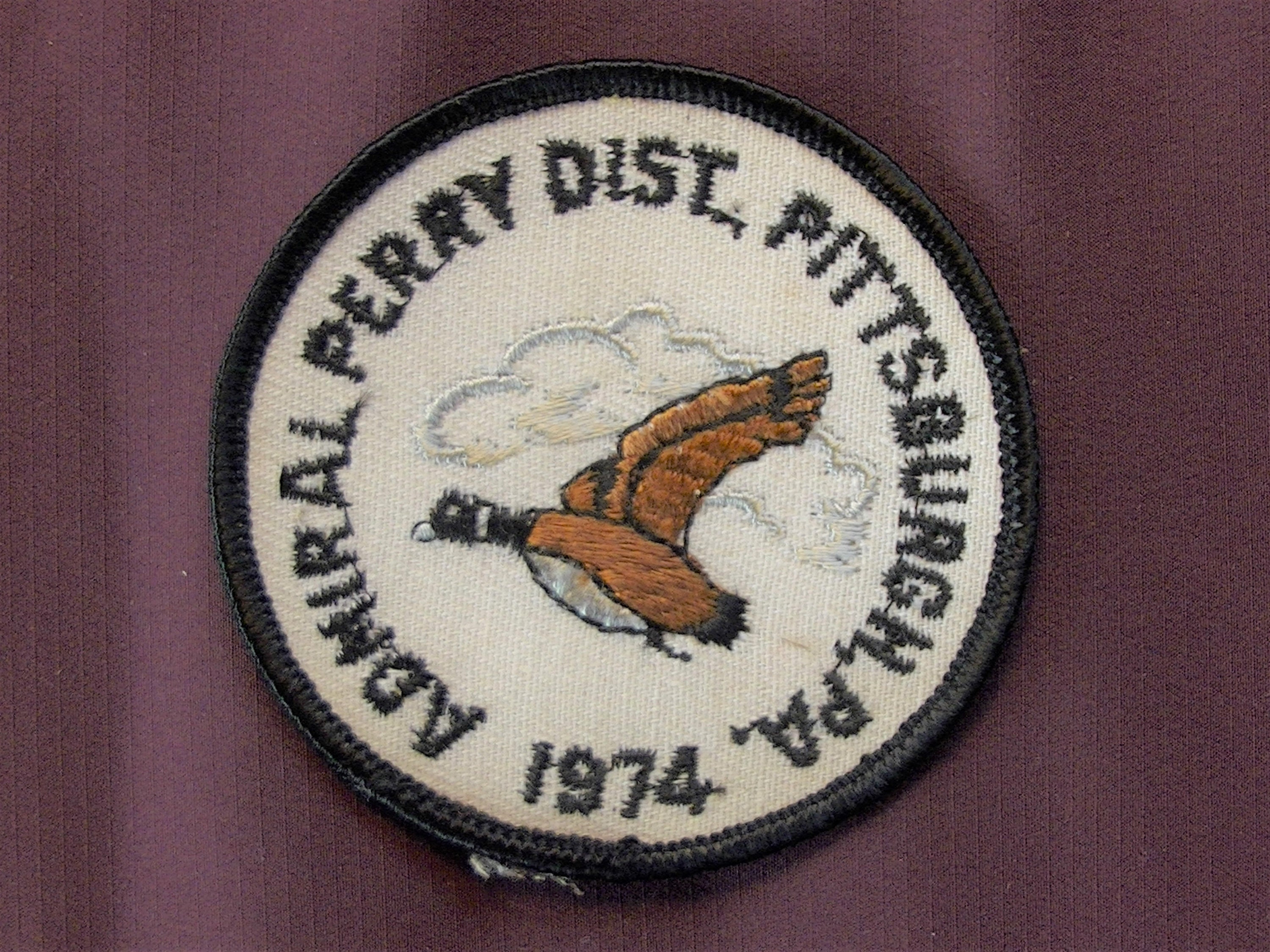 Rare Vintage Boy Scout Camp Patches - Etsy