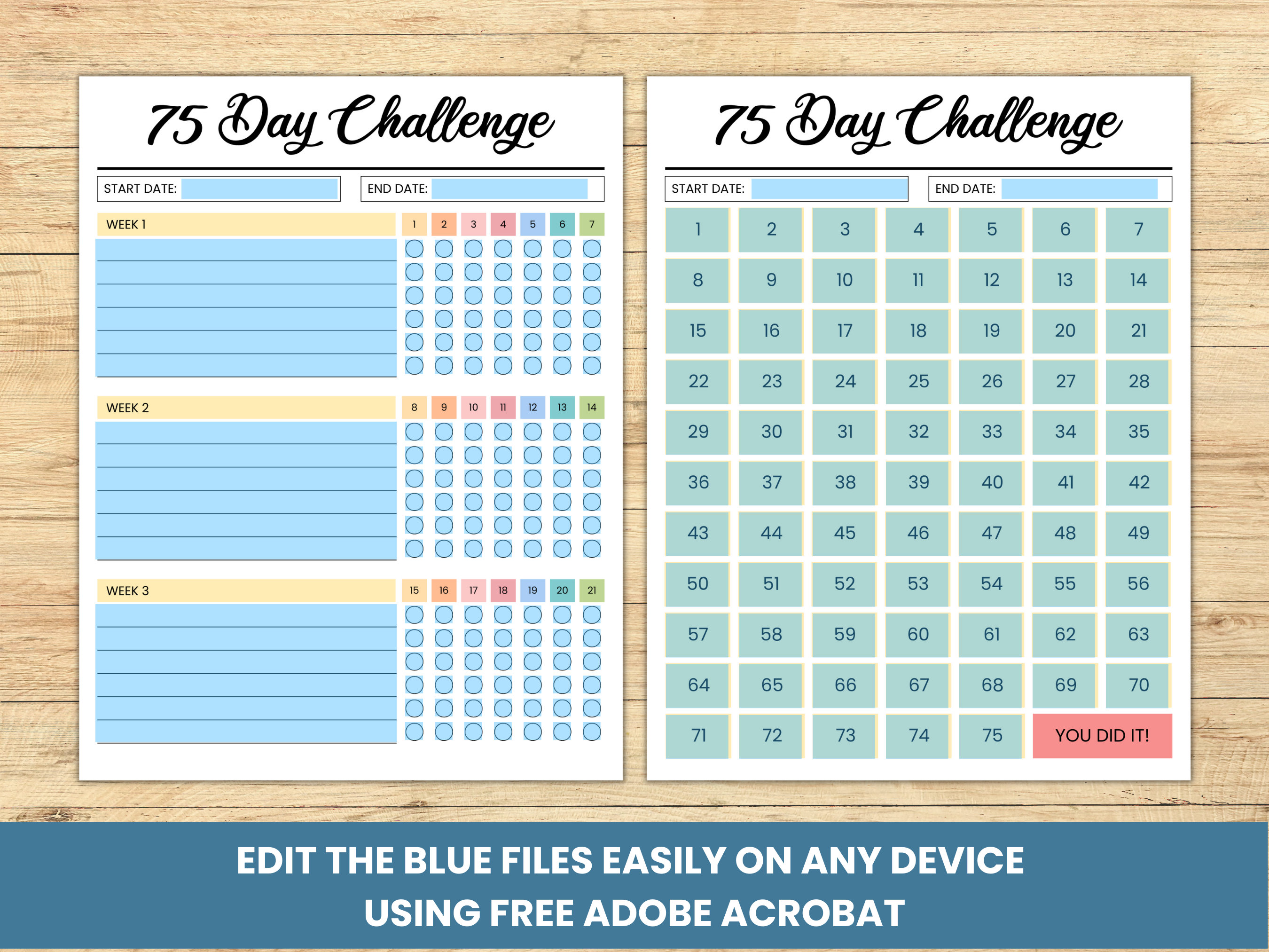 Printable 75 Day Challenge Tracker: Editable Habit & Fitness (PDF) - Etsy