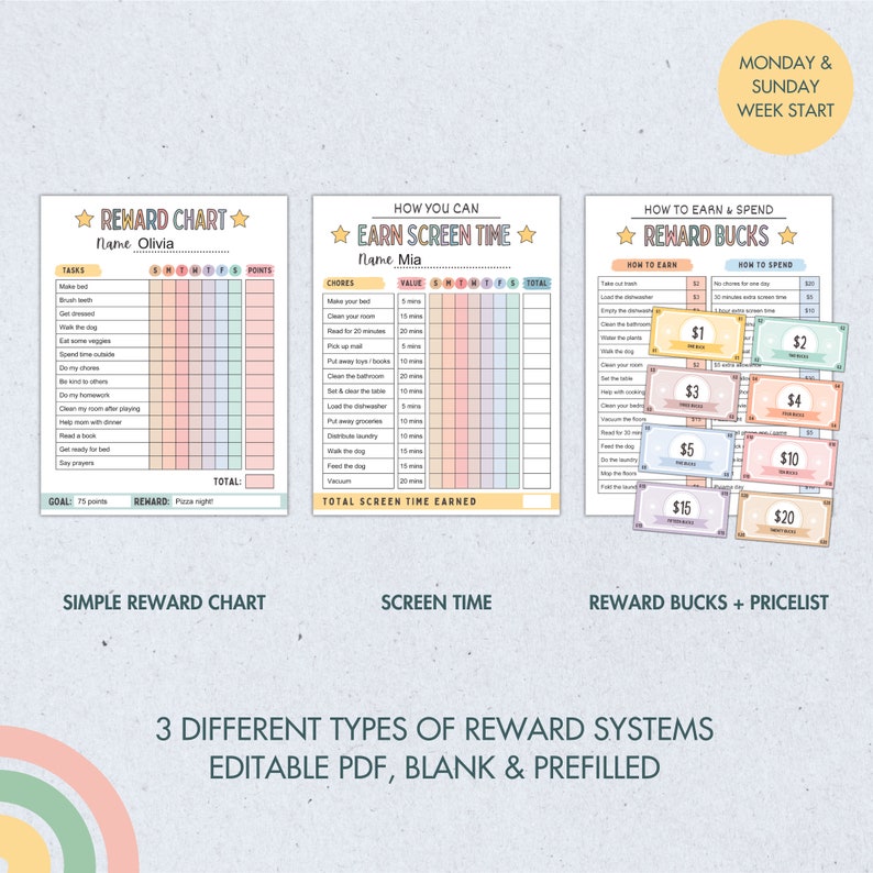 Editable Kids Chore Charts, Allowance, Reward Chart, Screen Time, Daily ...