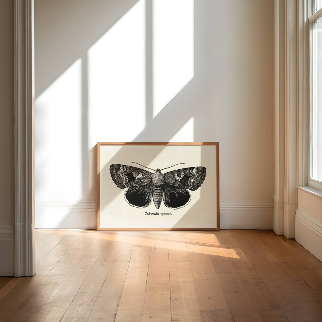 Moth Study Wall Art, Vintage Moth Illustration Download, Witchy Decor ...