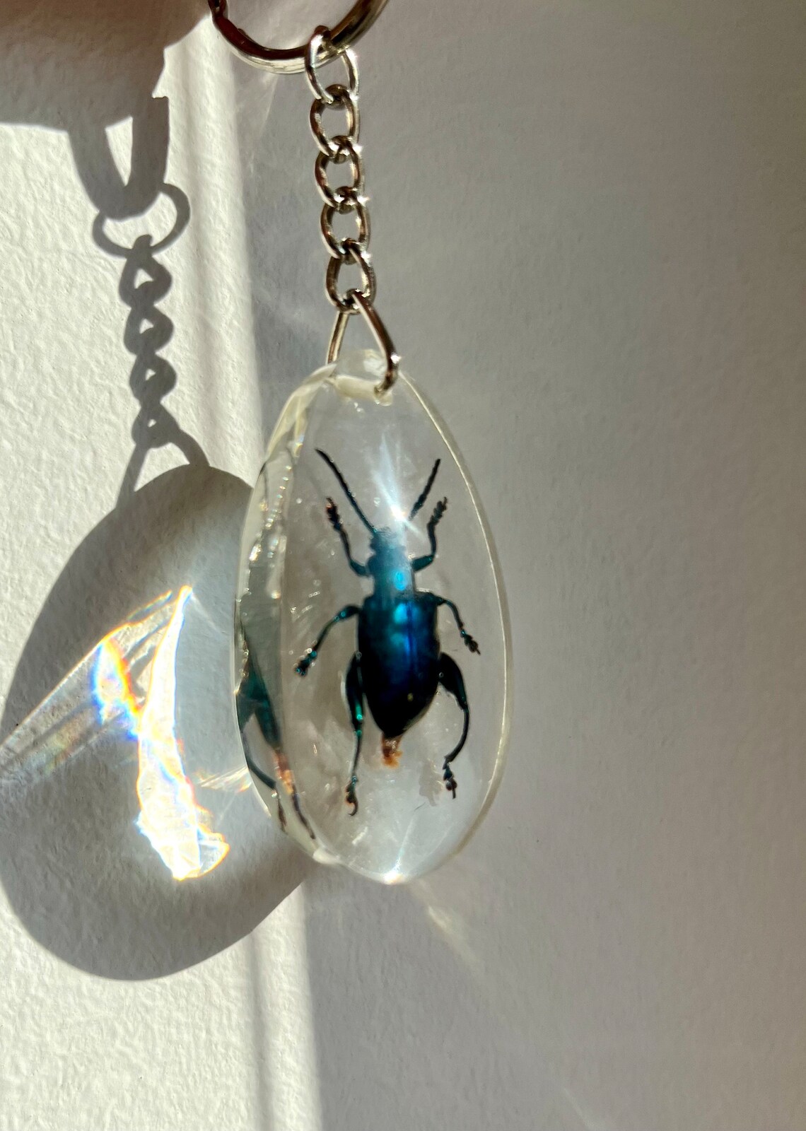 Beetles Bugs Scorpions in Resin. Real Insects in Lucite. Insect ...