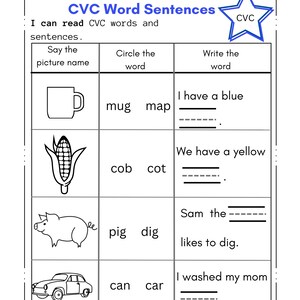 CVC Word Sentences and Short Vowel Word Practice - Etsy
