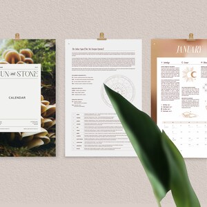 2023 Spiritual Calendar, Magik, Rituals, Moon Phases, Transits, Spells ...