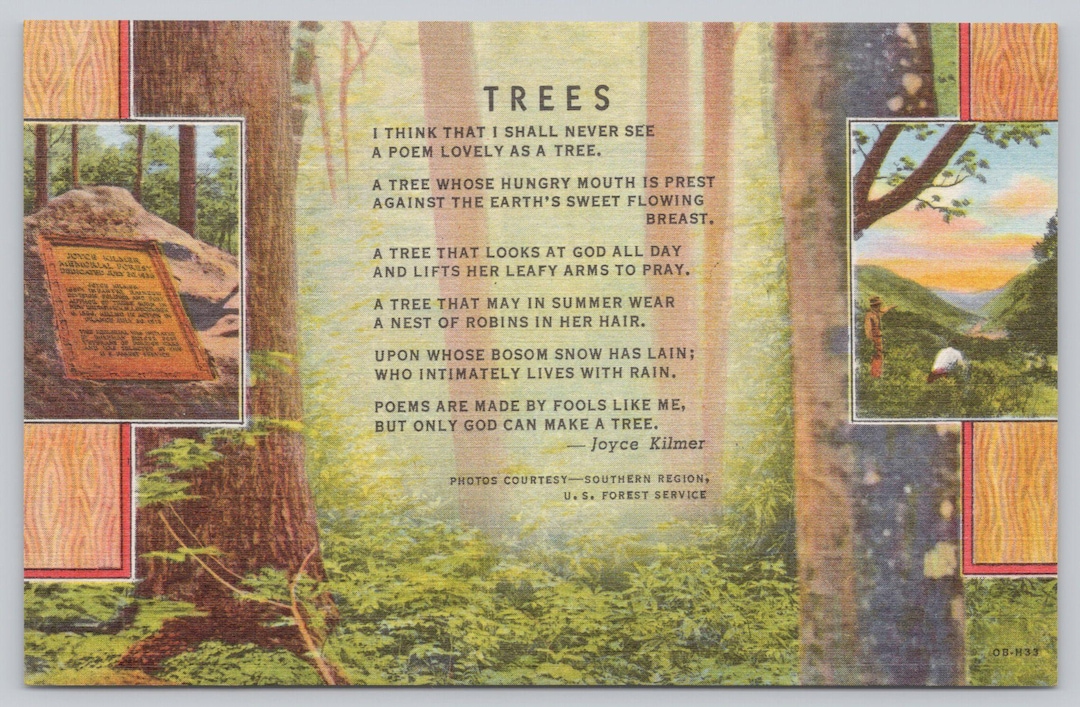 Vintage Postcard, Trees Poem, Joyce Kilmer Memorial Forest, Great Smoky ...