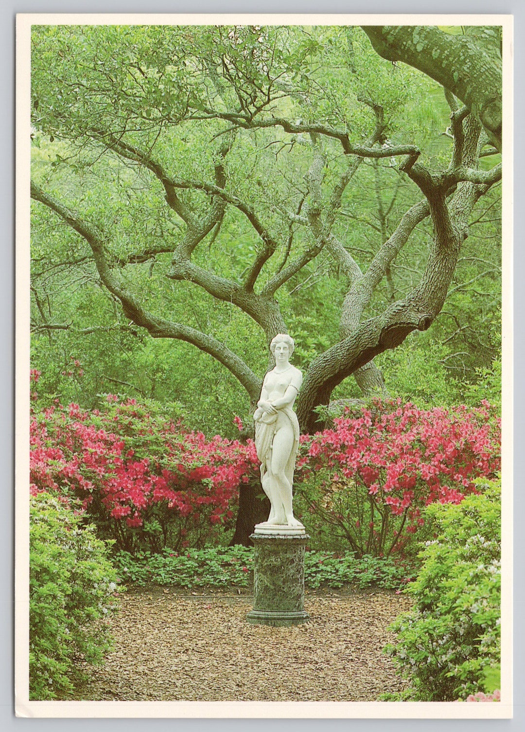 Vintage Postcard, Virginia Dare Statue, Elizabethan Garden, Roanoke ...
