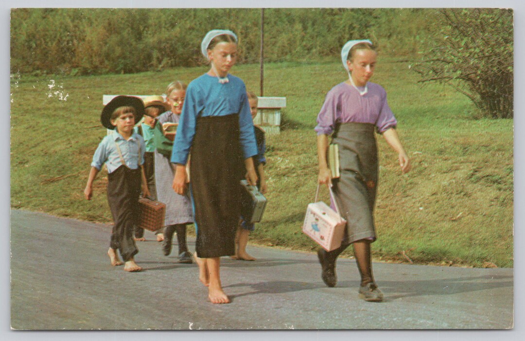 Vintage Postcard, Greetings From the Amish Country, Amish Children ...