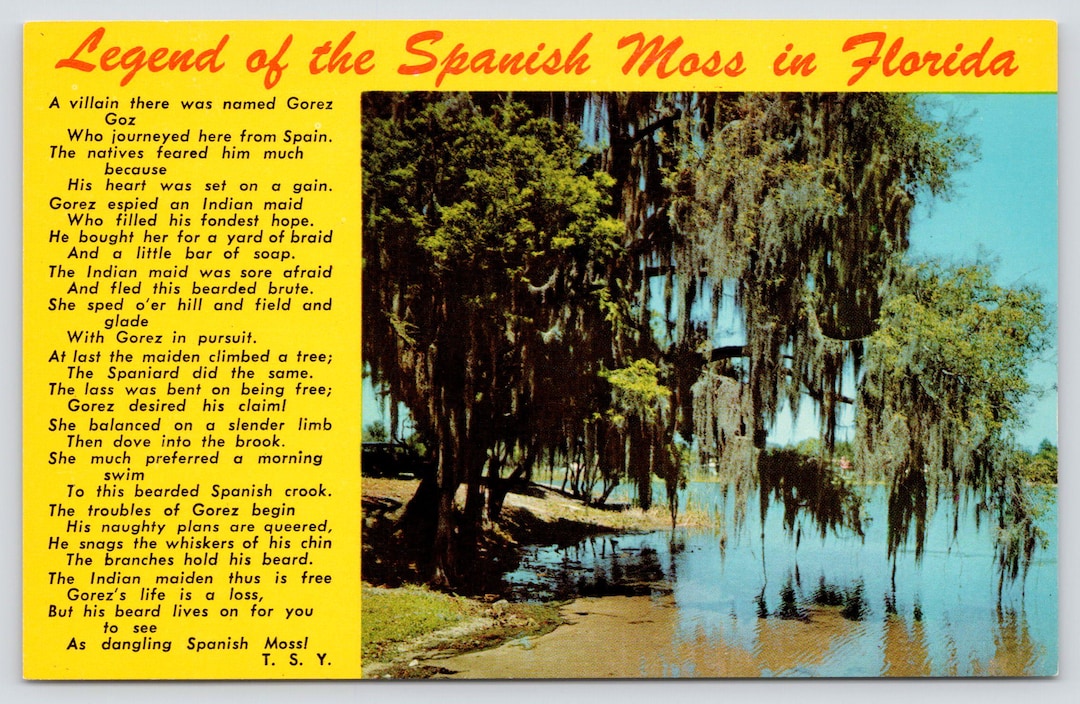Vintage Postcard, Legend of the Spanish Moss in Florida Poem, C1960s ...