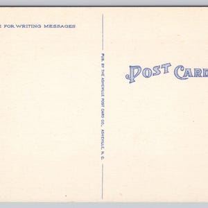 Vintage Comic Postcard, "this House Has Got Our Last One Licked a Mile ...